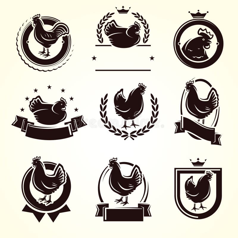 Chicken Labels and Elements Set. Collection Icon Chicken. Vector Stock ...