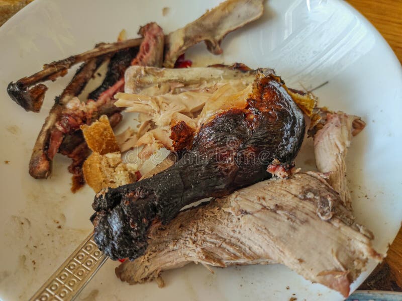 Chicken leftovers on plate stock image. Image of chicken - 333963759