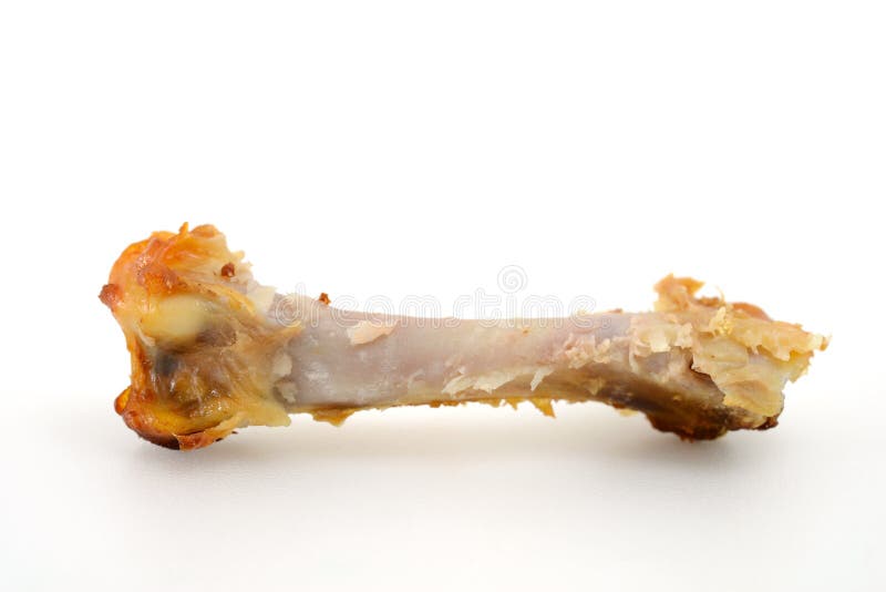 Chicken Leg Bone stock image. Image of bone, snack, food - 41550223
