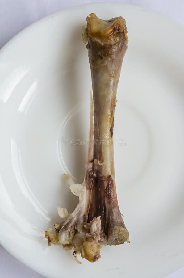 Cooked Chicken Leg Bone in White Plate Stock Photo - Image of bone ...