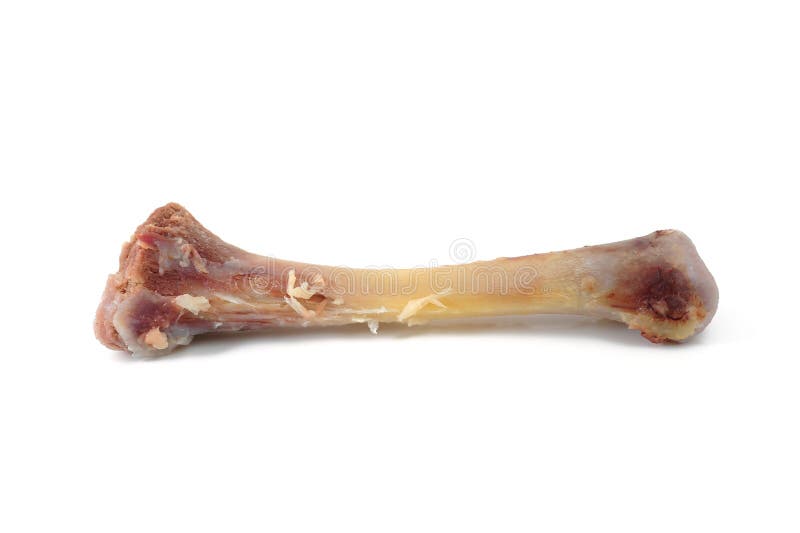 Chicken leg bones stock image. Image of bone, white, eaten - 34325983
