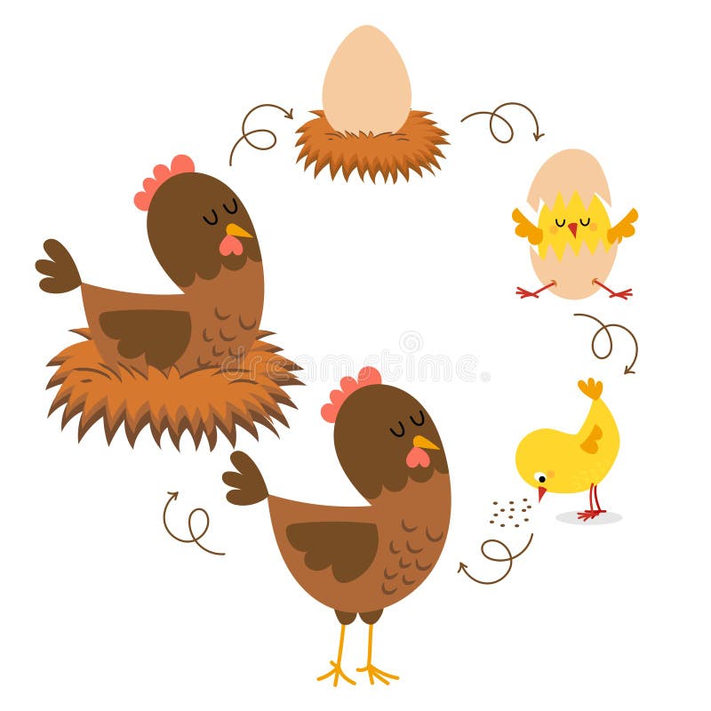 Hatchling Hen Stock Illustrations – 111 Hatchling Hen Stock ...