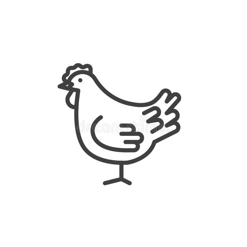 Chicken line icon stock vector. Illustration of simple - 238497203