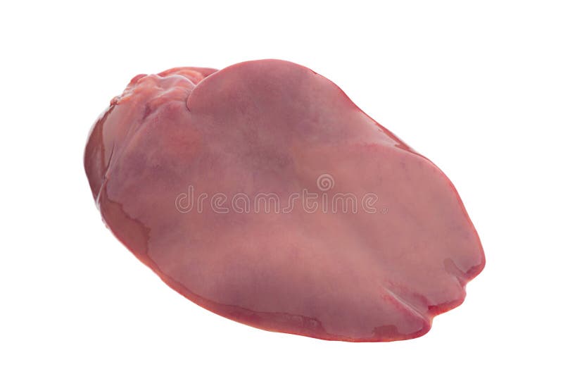 Chicken liver part stock photo. Image of white, liver - 91372984