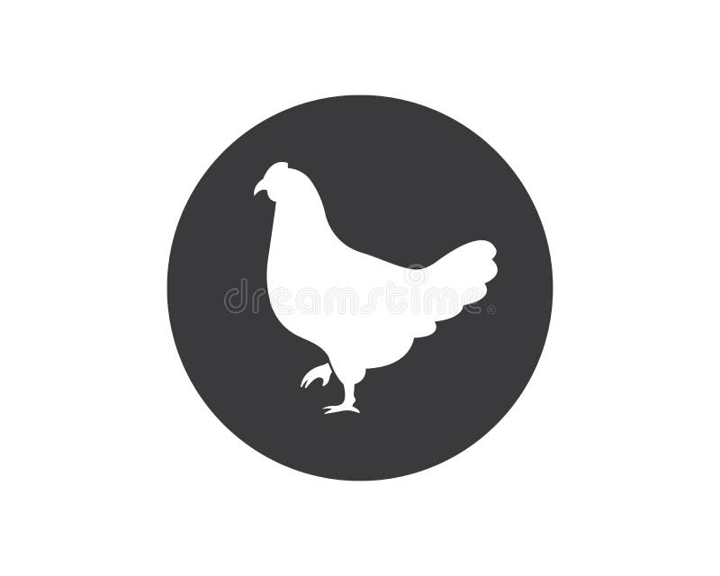 Chicken Logo Icon Vector Illustration Stock Vector - Illustration of ...