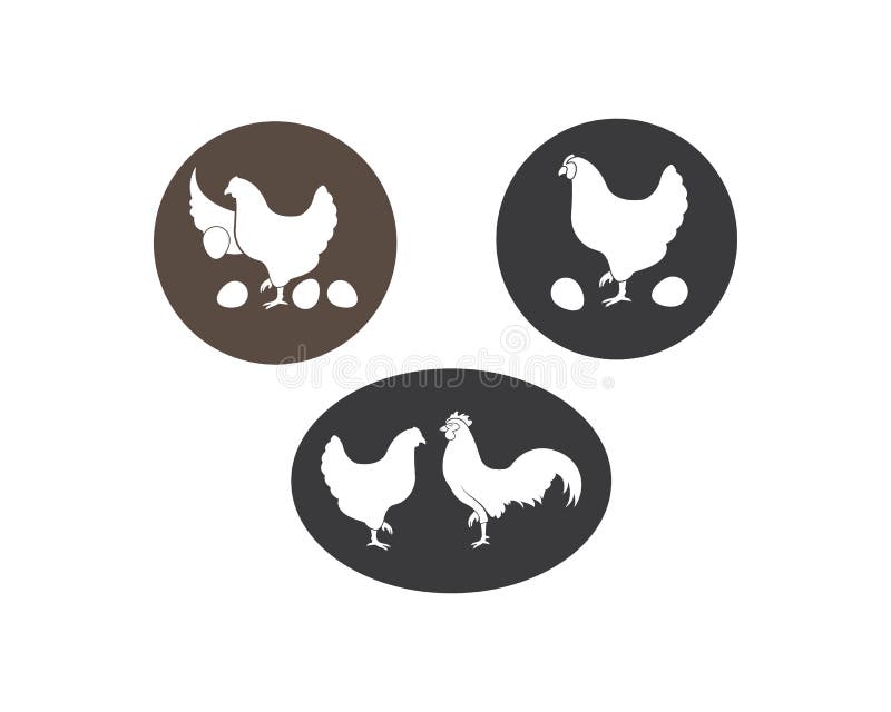 Chicken Logo Icon Vector Illustration Stock Vector - Illustration of ...