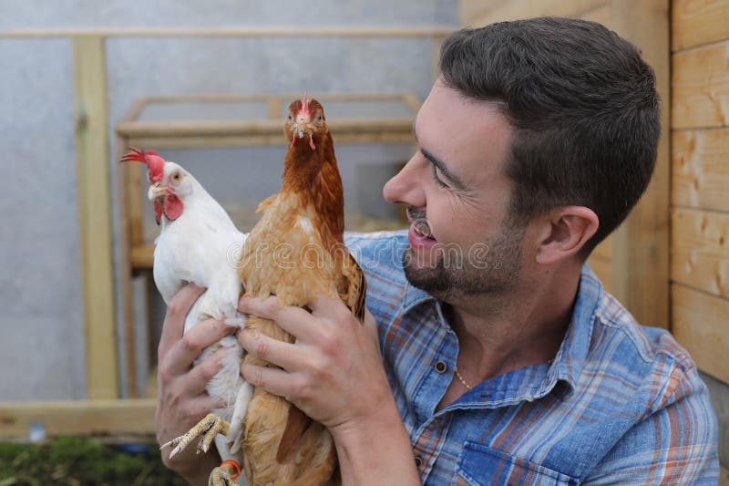 Chicken Lover with His Cute Pets Stock Photo - Image of cute, farmyard ...