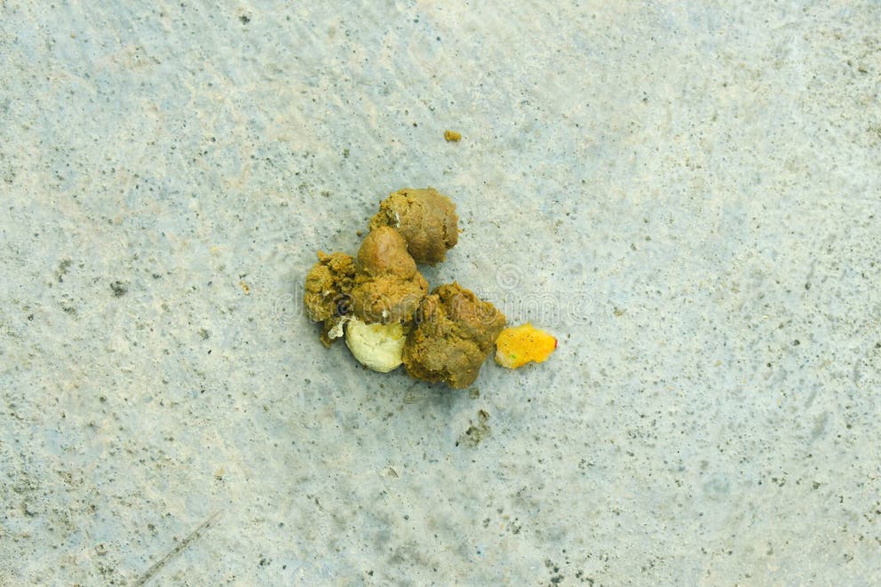 Chicken manure 1 stock image. Image of chemical, gardening - 324593897