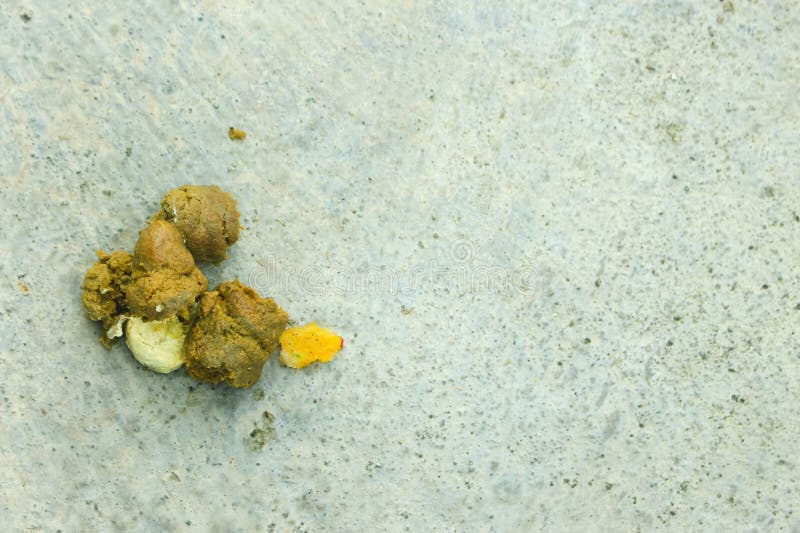 Chicken manure 2 stock photo. Image of green, meat, domesticated ...