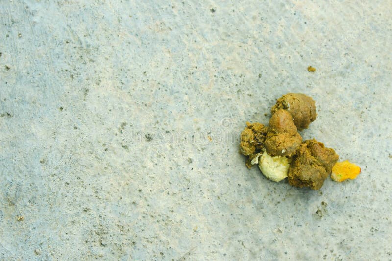 Chicken manure 3 stock photo. Image of black, storage - 324593910