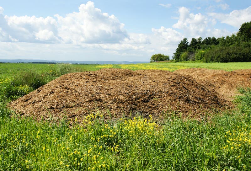 Manure heap stock image. Image of odour, dung, organic - 1597859