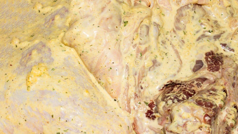 Chicken Marinated in Sauce. Stock Image - Image of nutrition, marinade ...