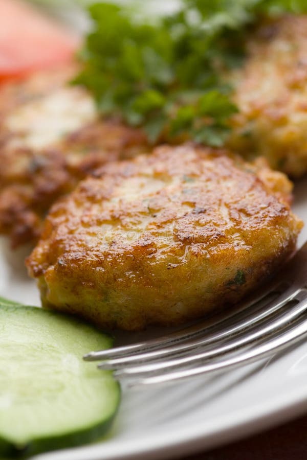 Chicken meat cutlets stock photo. Image of appetizer - 19448564