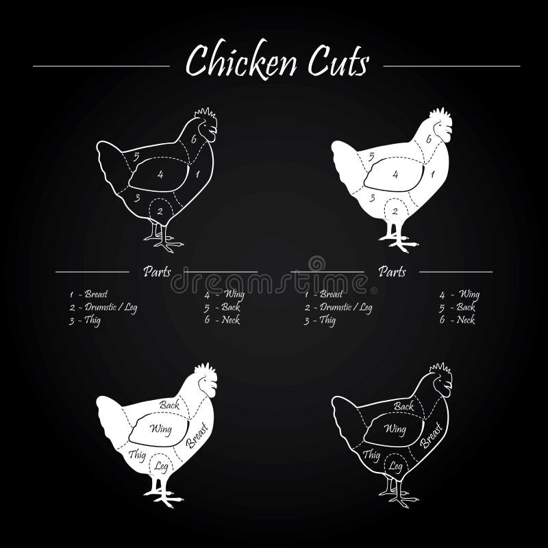 Pork Meat Cuts Scheme stock vector. Illustration of loin - 38482414