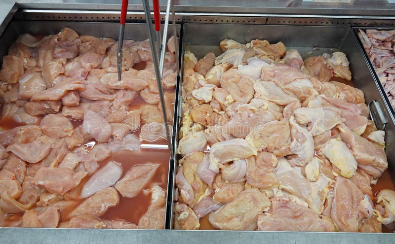 Chicken meat stock photo. Image of freshness, full, filet - 263069668