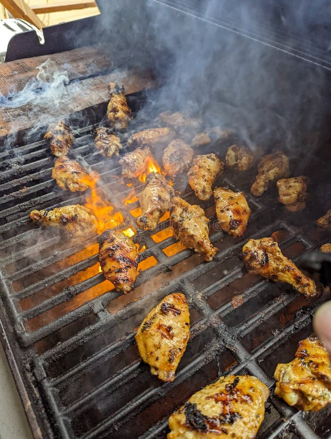 Chicken Meat Fried on a Barbecue Grill Stock Image - Image of barbecue ...