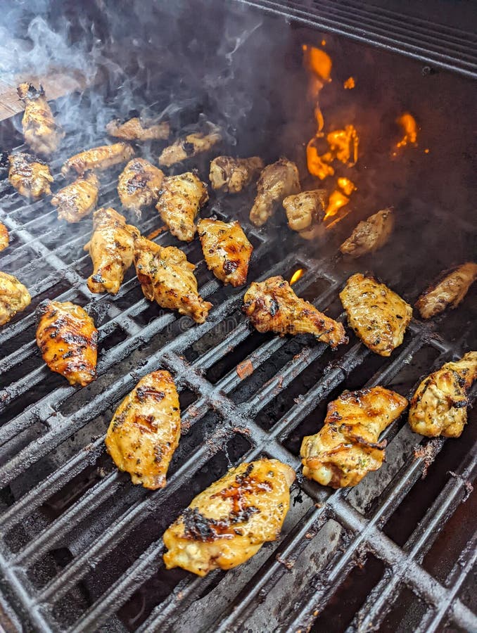 Chicken Meat Fried on a Barbecue Grill Stock Image - Image of broiler ...