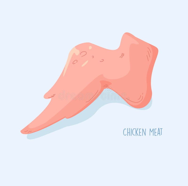 Chicken meat stock vector. Illustration of meat, bone - 167290265