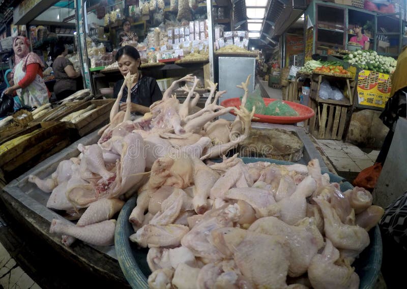 Chicken meat editorial photography. Image of chicken - 49169187