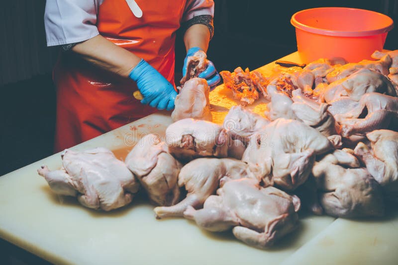 Chicken meat production stock photo. Image of manufacture - 139884996