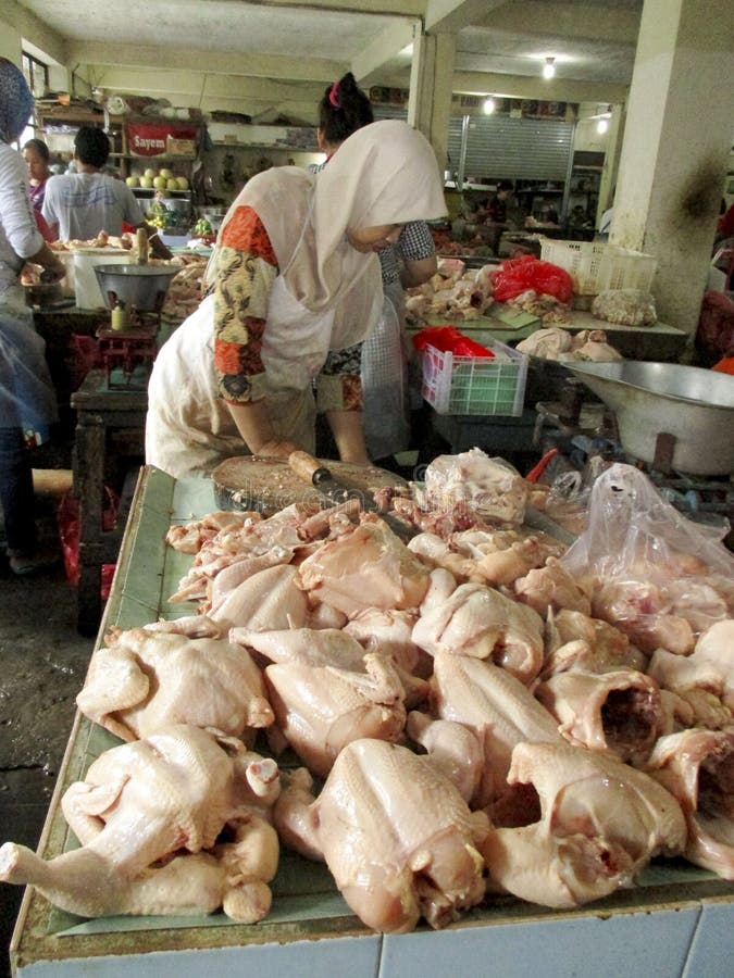 Chicken meat editorial photography. Image of chicken - 72815682