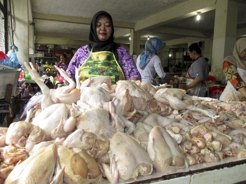 Chicken meat editorial stock photo. Image of java, traders - 72815708