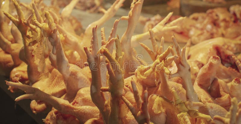 Chicken Meat in Traditional Market Stock Image - Image of butchery ...