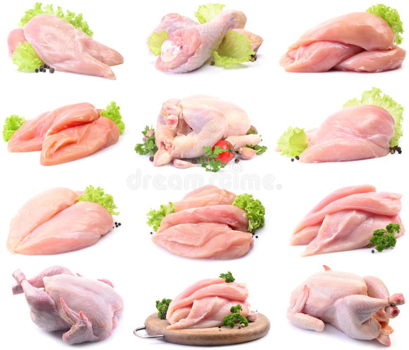 Chicken Meat on White Background Stock Image - Image of cooking, food ...