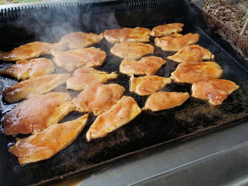 Chicken meats on barbecue stock photo. Image of horizontal - 148249410