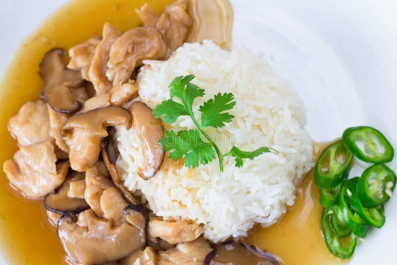 Chicken and Mushroom with Sauce Over Rice Stock Image - Image of diced ...