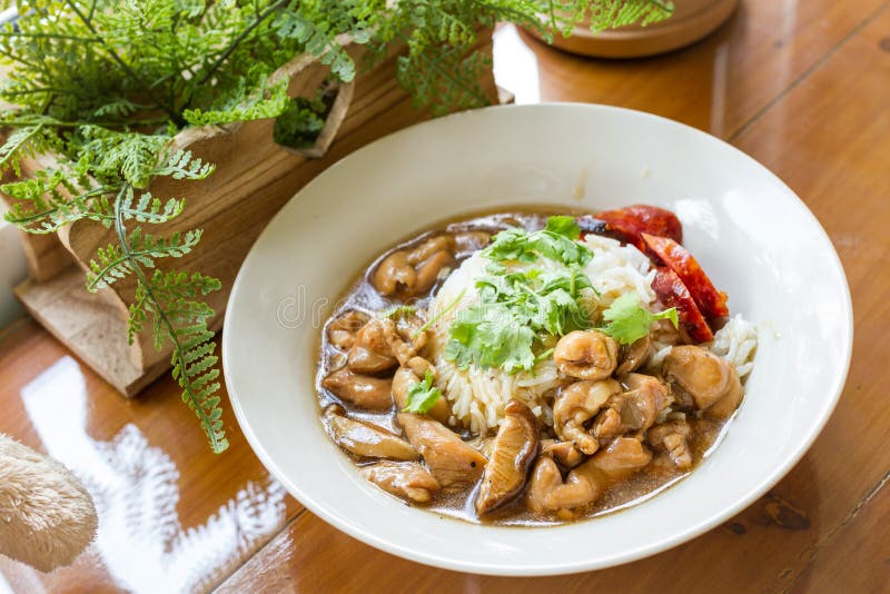 Chicken and Mushroom Sauce Over Rice Stock Image - Image of vegetables ...