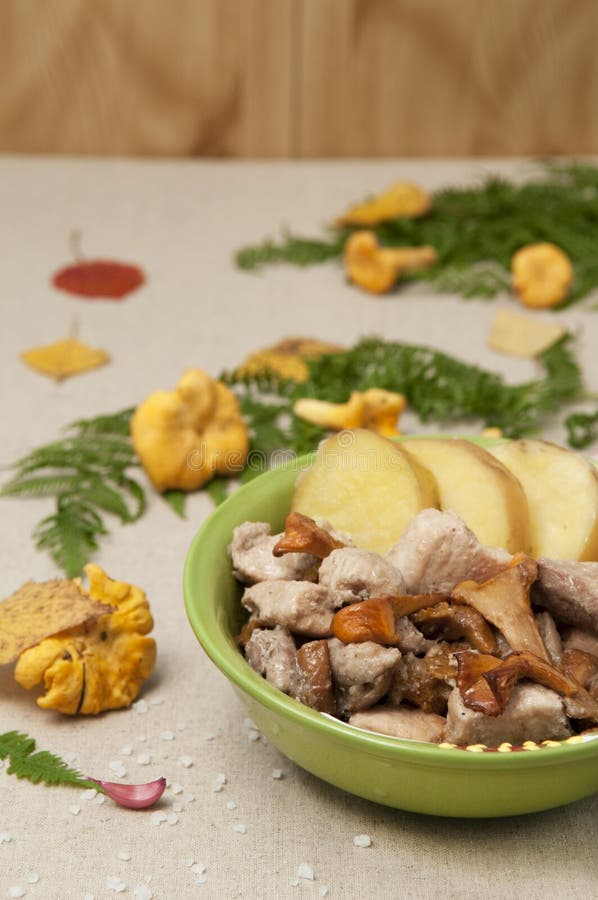 Chicken mushrooms ragout stock photo. Image of ragout - 26934872