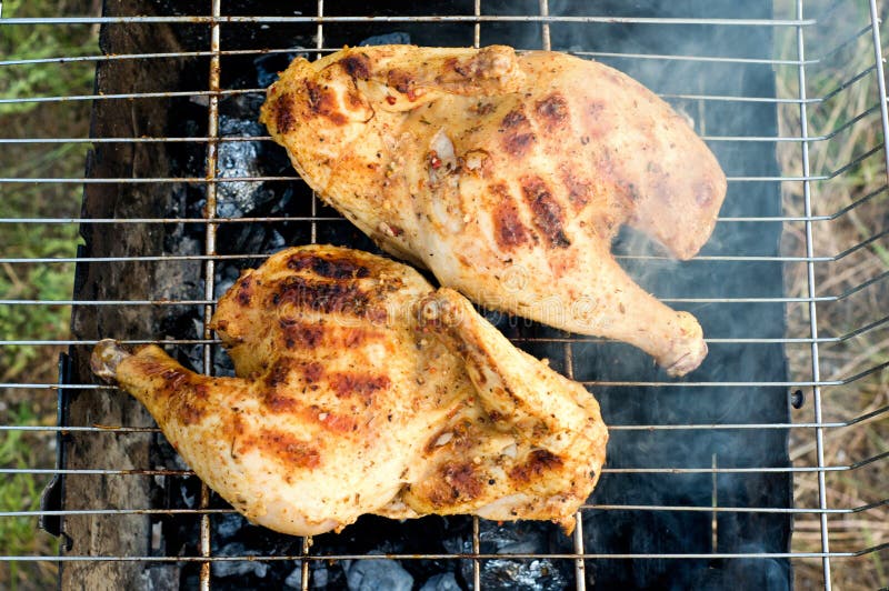 Chicken over a fire stock photo. Image of kebab, meat - 41311582