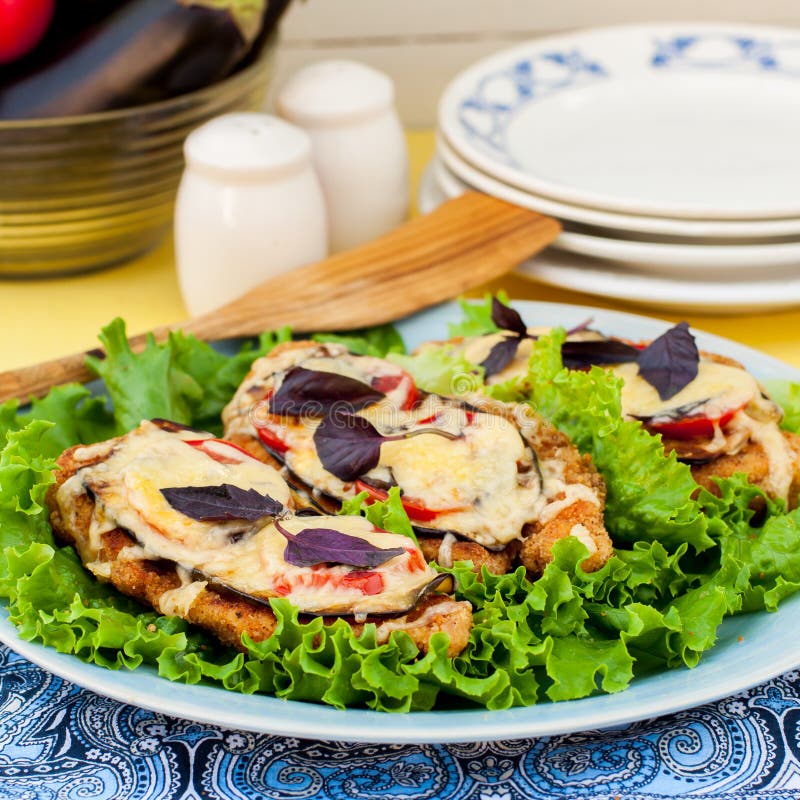 Chicken Parmigiana stock photo. Image of dish, delicious - 76624196