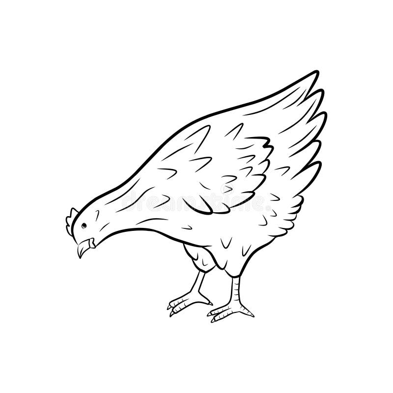 Chicken Pecks Side View Illustration Stock Vector - Illustration of ...