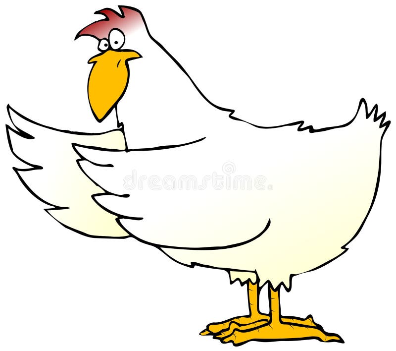 Chicken Point stock illustration. Illustration of rooster - 8070311