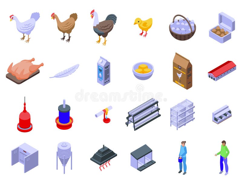 Chicken Poultry Farm Icons Set Isometric Vector. Feed Production Stock ...
