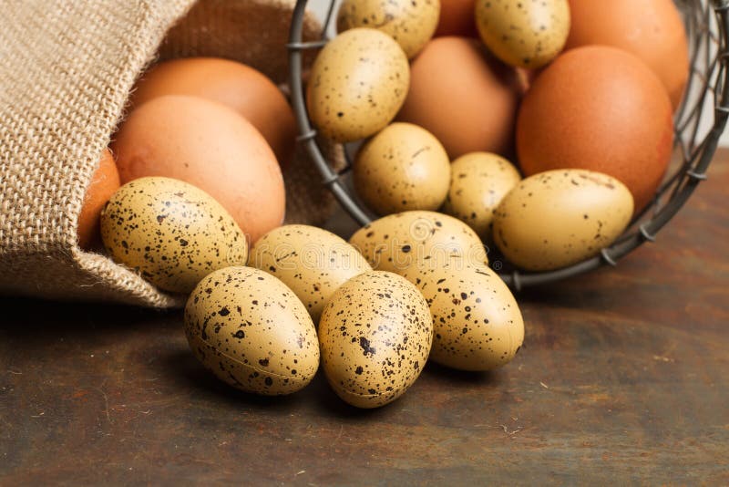 Chicken and quail eggs stock photo. Image of easter - 111947224