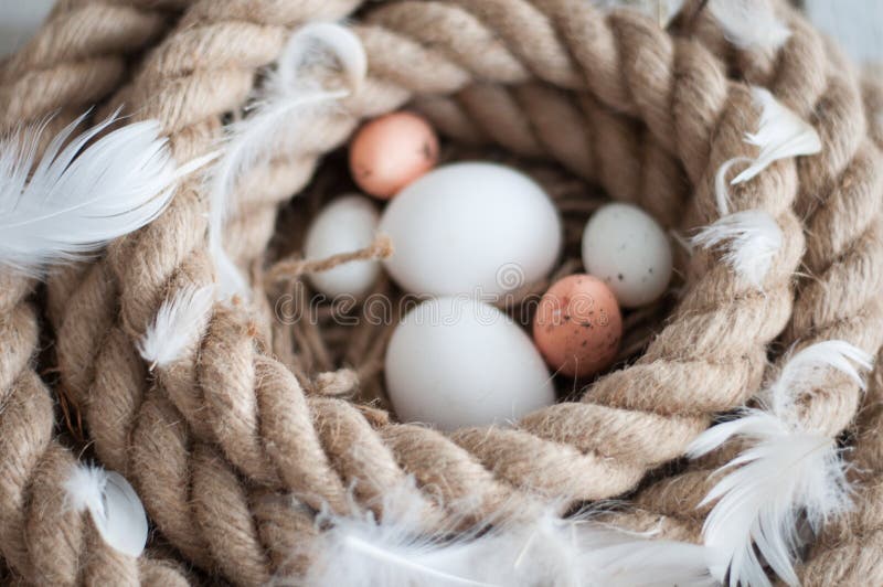 Easter, Eggs, Chicken Eggs, Quail Eggs, Eggs, Rope, Nest, White ...
