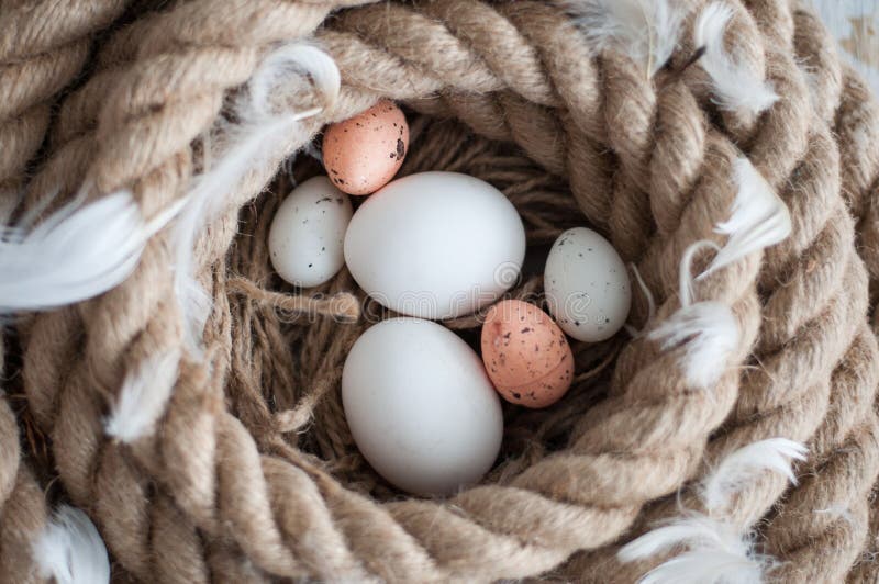 Easter, Eggs, Chicken Eggs, Quail Eggs, Eggs, Rope, Nest, White ...