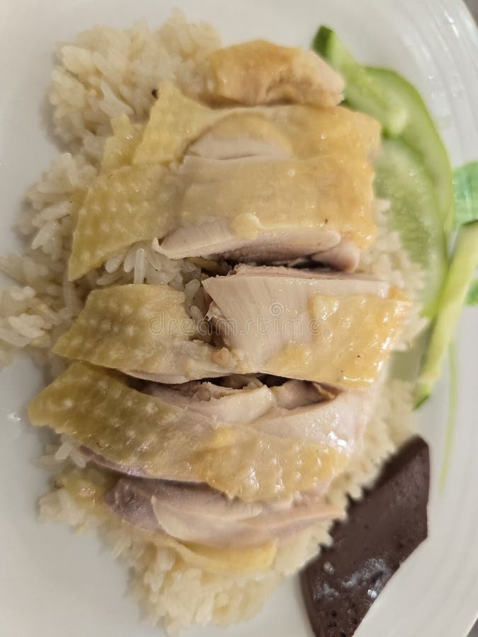 Chicken and Rice with Cucumberand Chicken Blood Stock Image - Image of ...