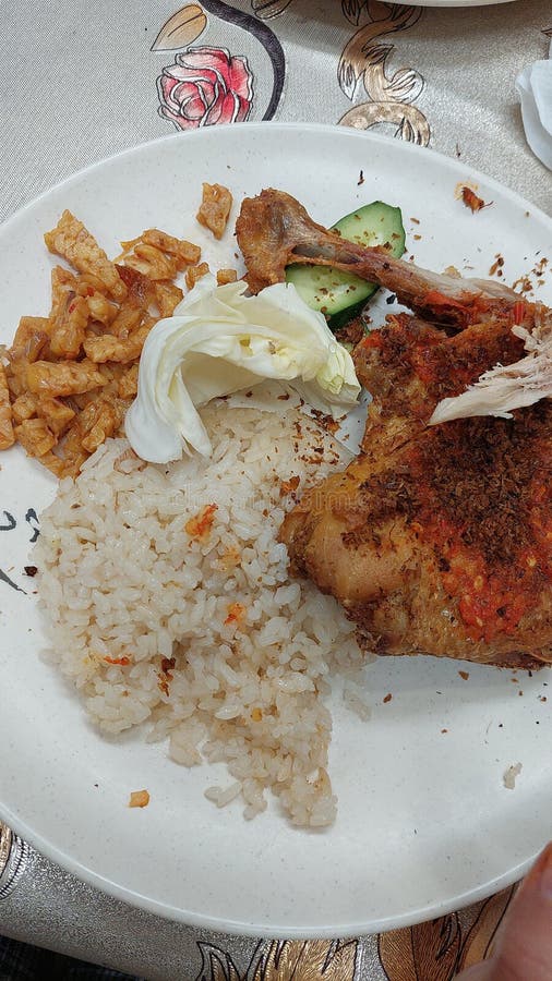 Chicken Rice with Fried Chicken and Tempe Orek Stock Photo - Image of ...