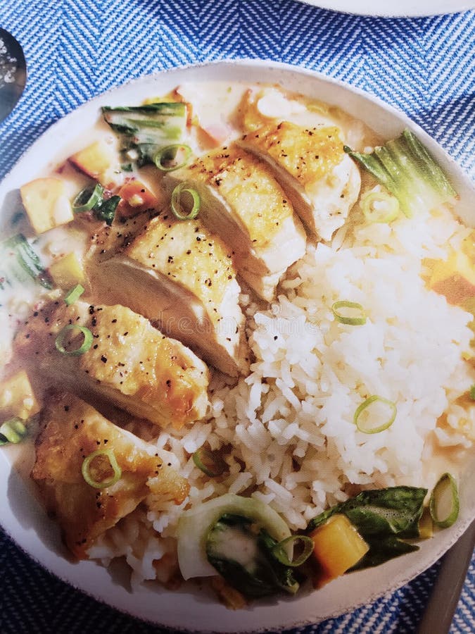 Weekday meal stock photo. Image of meal, chicken, rice - 131634838