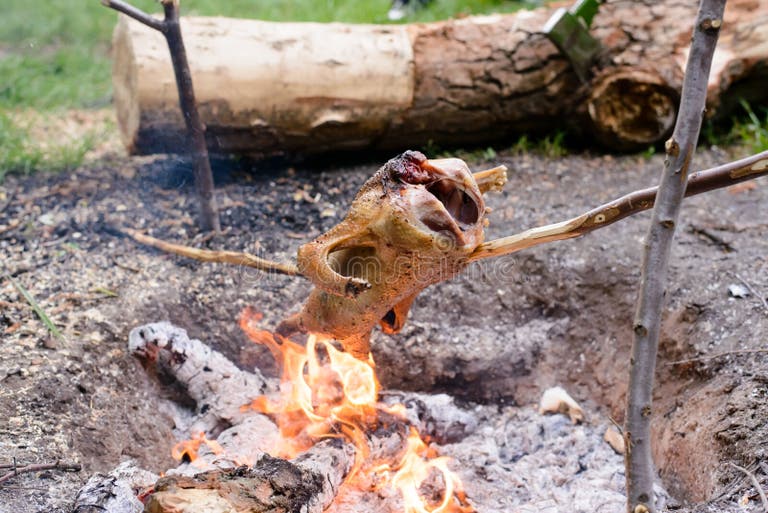 Chicken Roasting Over Open Camp Fire Stock Image - Image of chicken ...