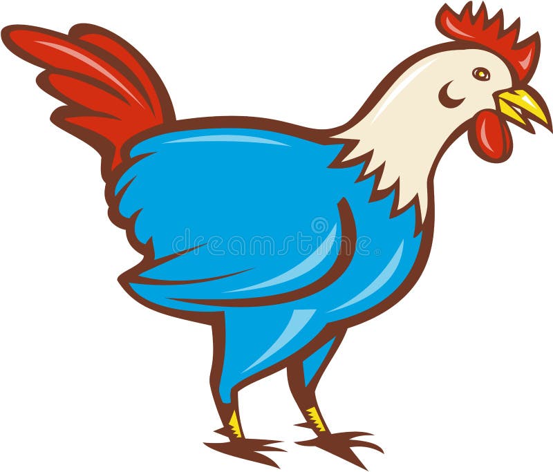 Chicken Facing Stock Illustrations – 53 Chicken Facing Stock ...