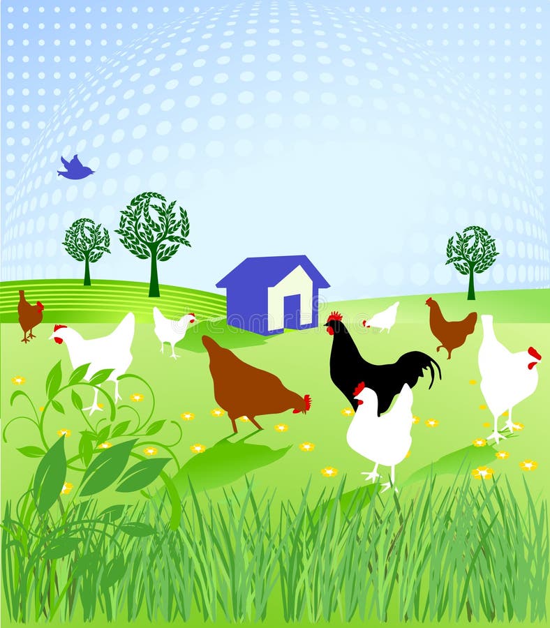 Chicken run stock vector. Illustration of farm, shields - 15499828