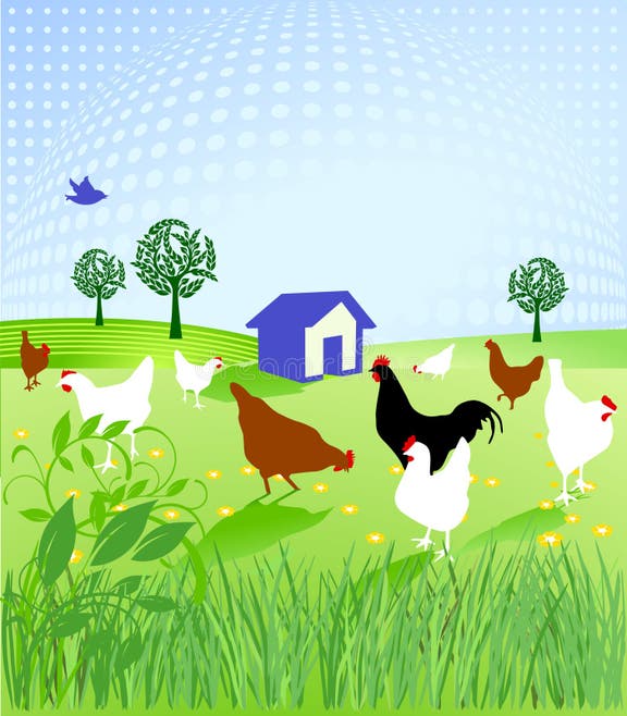 Chicken Feed Stock Illustrations – 4,586 Chicken Feed Stock ...