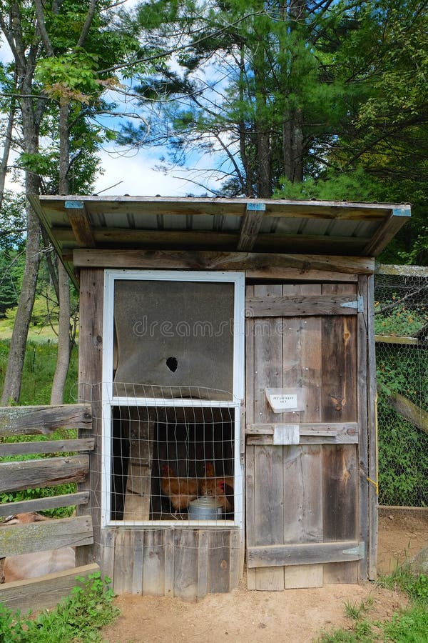 Chicken Run stock image. Image of nature, gait, farm - 44783497