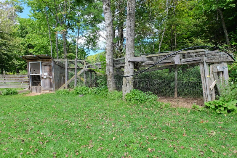 Chicken Run stock photo. Image of wire, rural, fence - 44783516