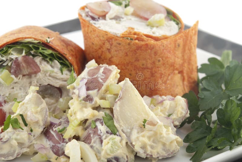Ham and Salad Wrap 2 stock image. Image of mayo, ingredients - 2084993